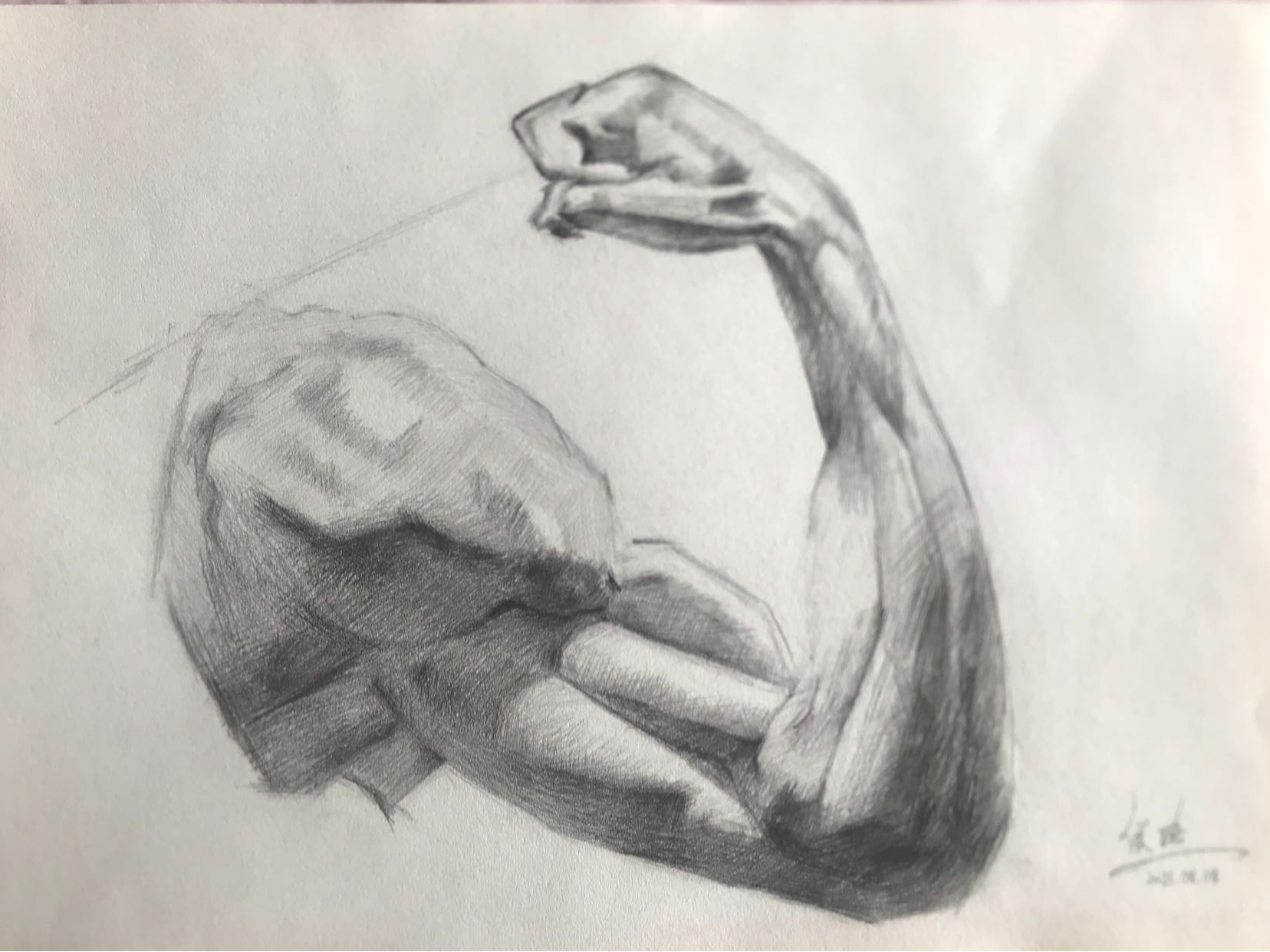 骨骼局部素描_FIONA小琦-站酷ZCOOL