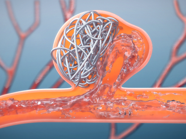 预研动画_WANG一YI-站酷ZCOOL