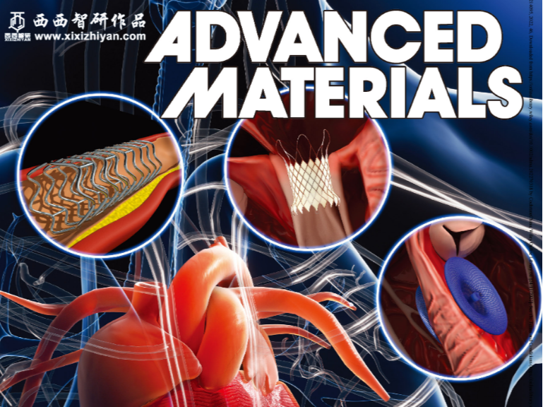 恭喜作品成功入选Wiley旗下Advanced Materials_西西智研-站酷ZCOOL