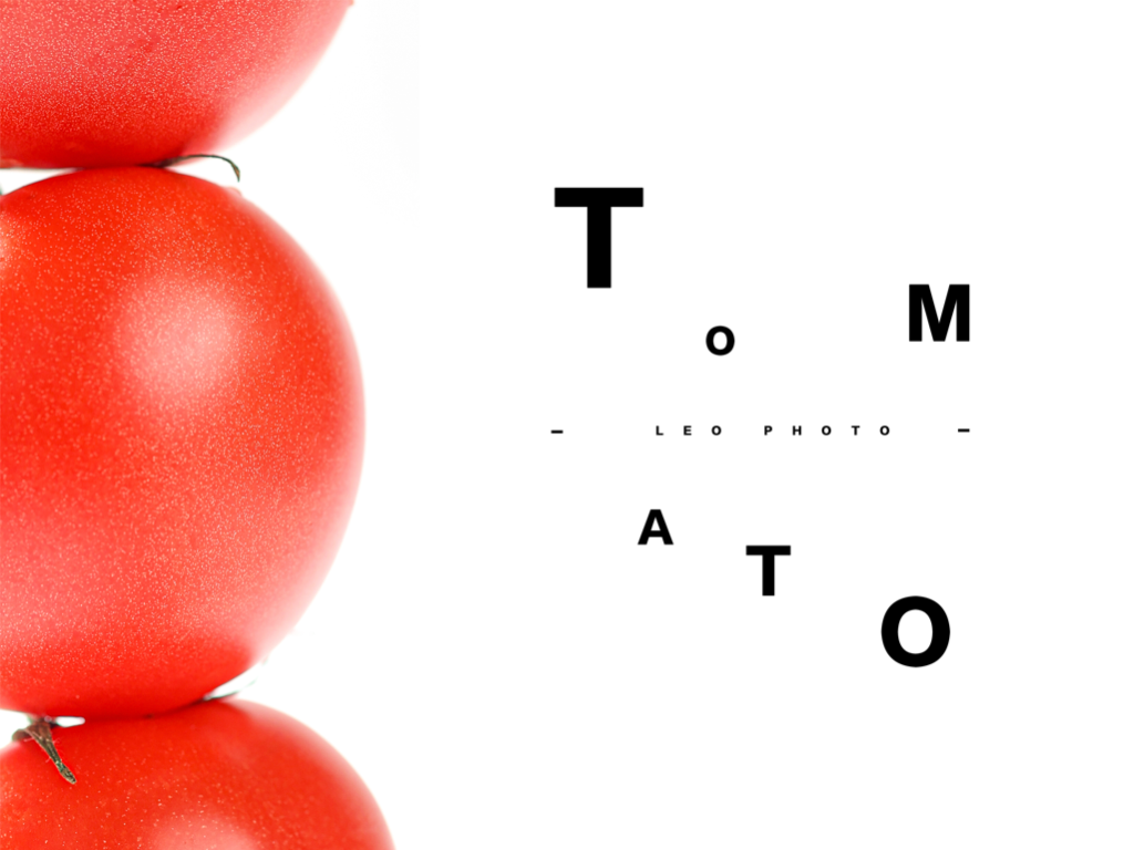 番茄TOMATO_狮子是狮子-站酷ZCOOL