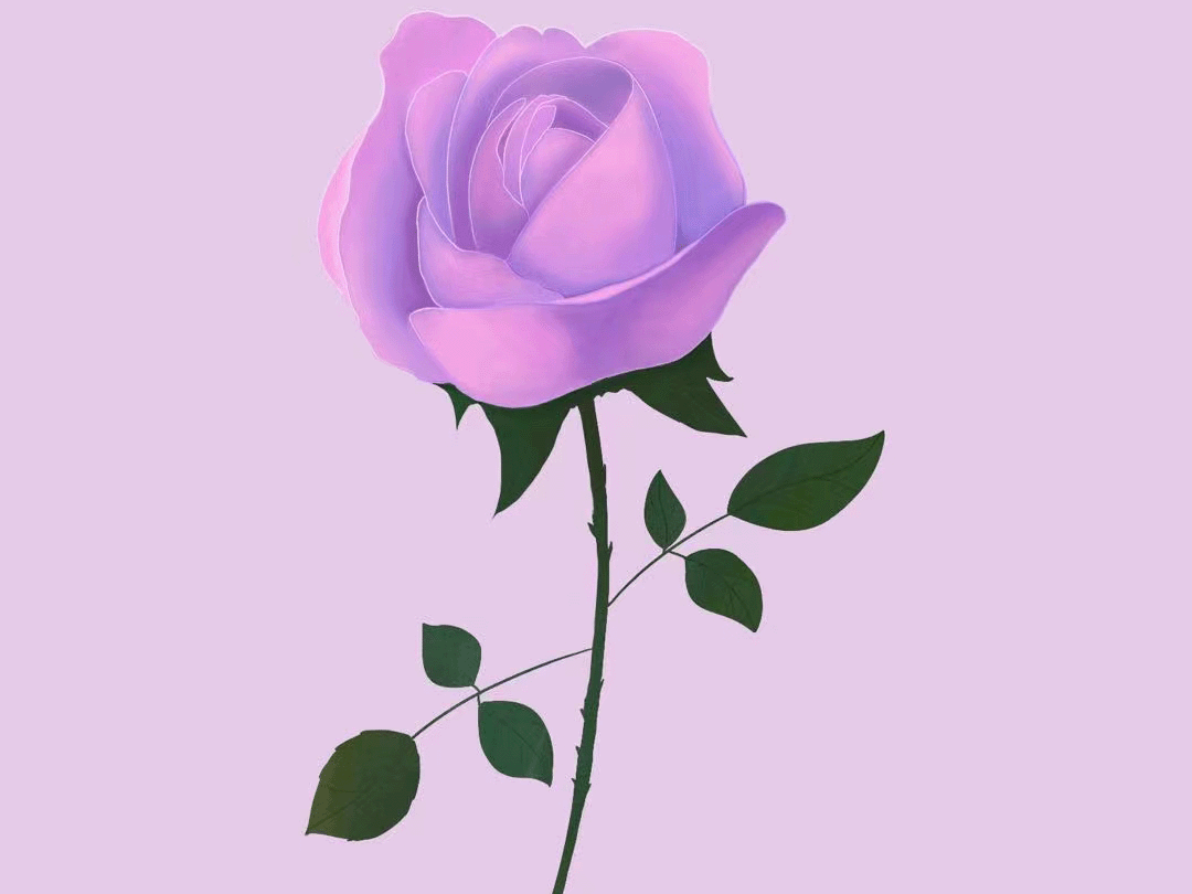 玫瑰花_非正式人类Brian-站酷ZCOOL