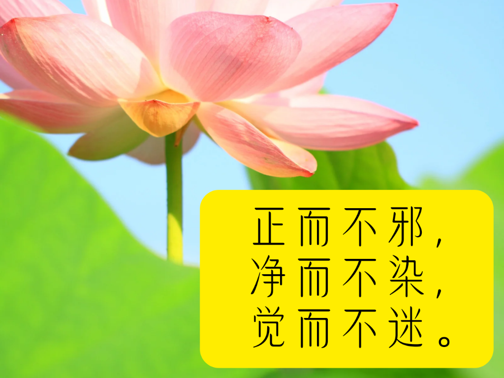 励志正能量句子（图文系列）_新种子CY-站酷ZCOOL