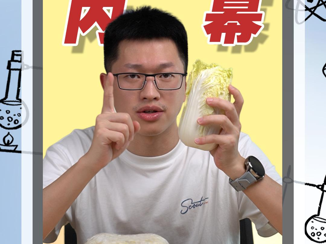 娃娃菜测评_是Chevalier-站酷ZCOOL