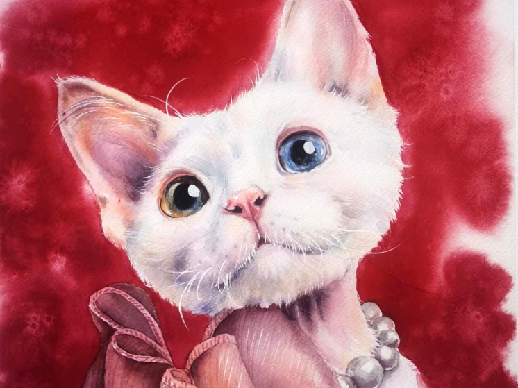 水彩猫咪_Flora图图麻麻-站酷ZCOOL