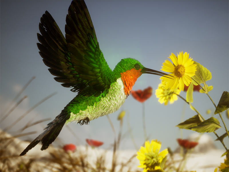 小鸟_骆驼1225-站酷ZCOOL