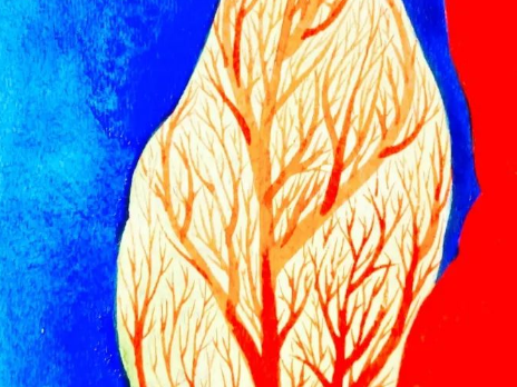 《单个肺》_pengw_w-站酷ZCOOL