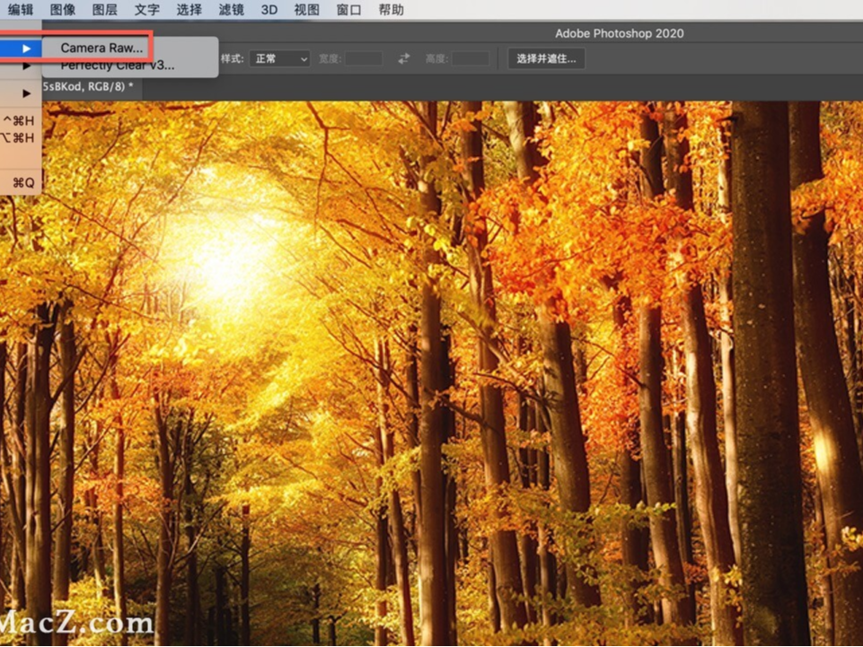 ps Raw增效工具Camera Raw 14中文版_酷酷帅帅-站酷ZCOOL