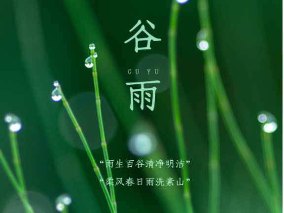 2022年谷雨24节气企业公司借势大气简约高端海报设计_MN长夏-站酷ZCOOL