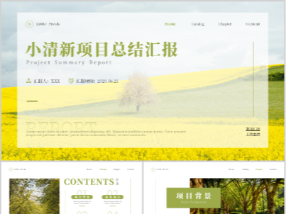 绿色小清新项目汇报工作总结ppt_长琴cq-站酷ZCOOL