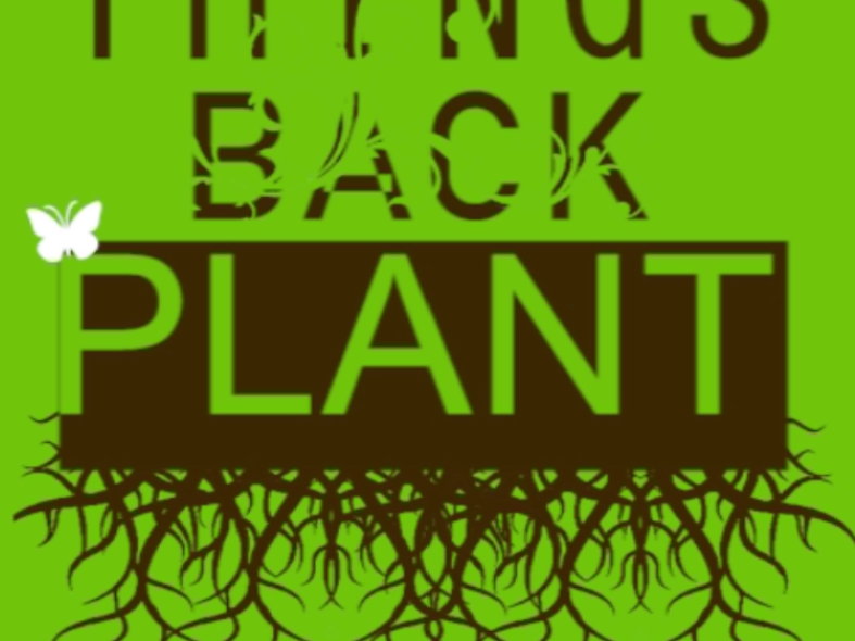 字体_碧碧的酱-站酷ZCOOL