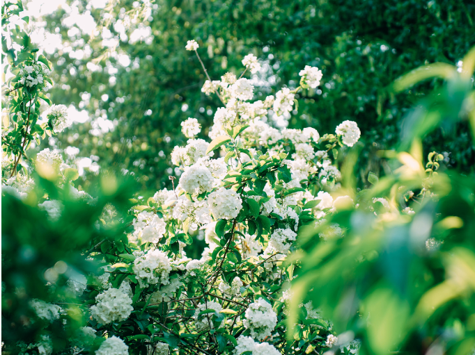 常州旅游_叶阿Yeah-站酷ZCOOL