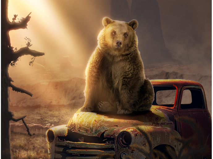 荒漠熊_BuHong-站酷ZCOOL