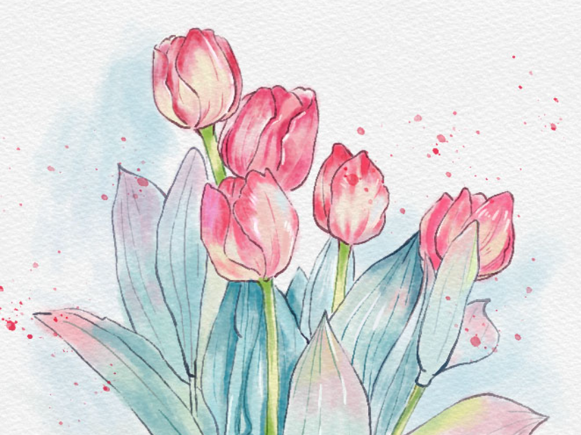 花卉练习_寻_xun-站酷ZCOOL