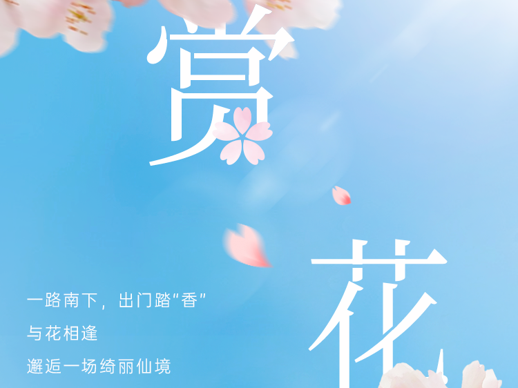 万豪3.16赏花主题公众号推文_西柚SAMA-站酷ZCOOL