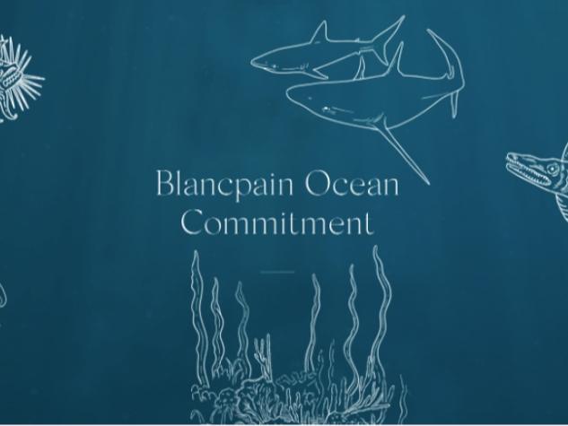 艺术商业案例｜Swindler & Swindler x Blancpain宝珀 _奢颜艺术空间-站酷ZCOOL