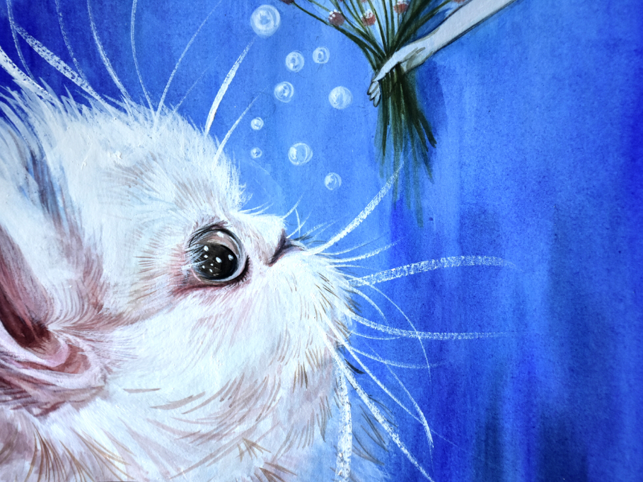 喵之梦境_一熙之名设计工作-站酷ZCOOL