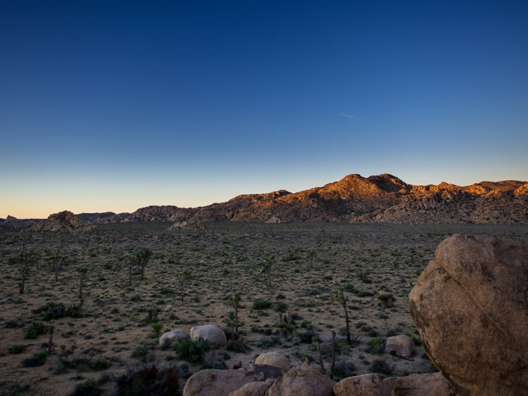 4k电脑动态壁纸_素材网站_图片免费下载-ZCOOL站酷