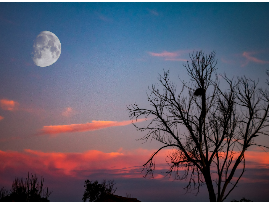 黄昏_A00330-站酷ZCOOL