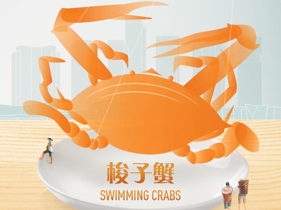 舟山味道_老宋在此-站酷ZCOOL