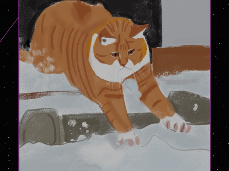 12【打卡DAY10】动物质感2_Z633257865-站酷ZCOOL