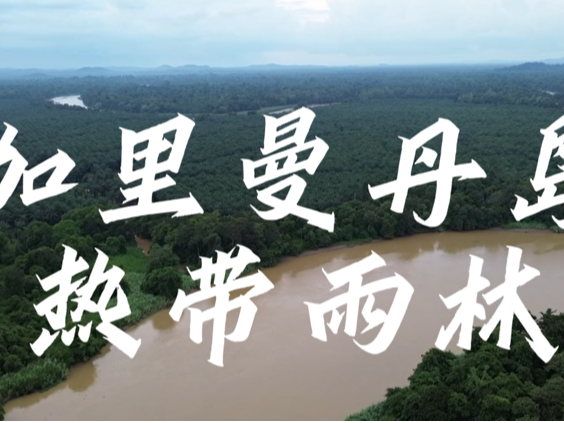 奇幻湃-尖叫吧女神户外探险项目ep06_恩洙ena-站酷ZCOOL