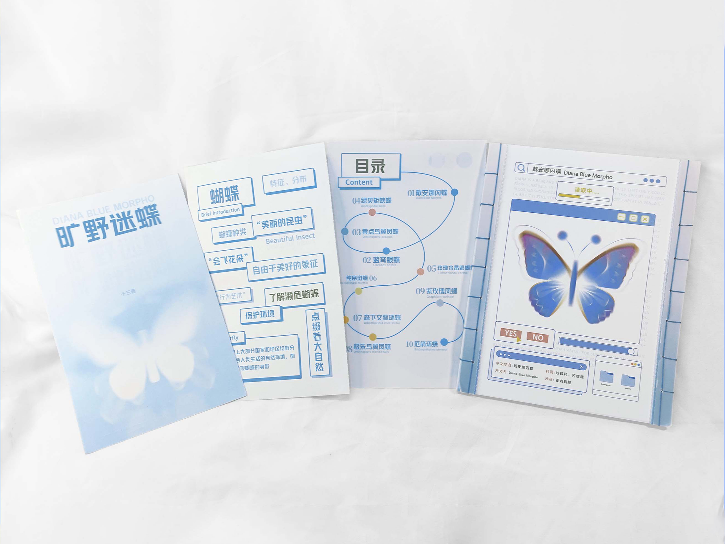 科普濒危蝴蝶书籍设计|中式装帧手工书_MIRO13-站酷ZCOOL