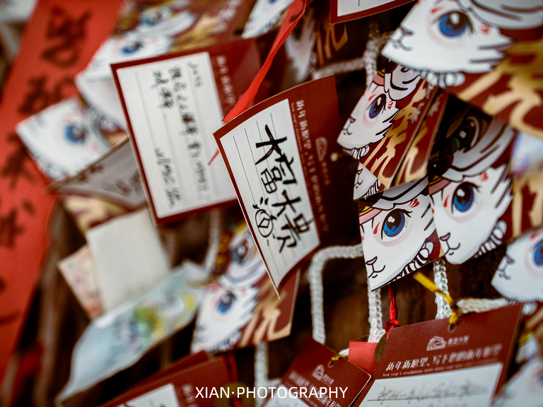 番禺-西坊大院_XianOTO-站酷ZCOOL