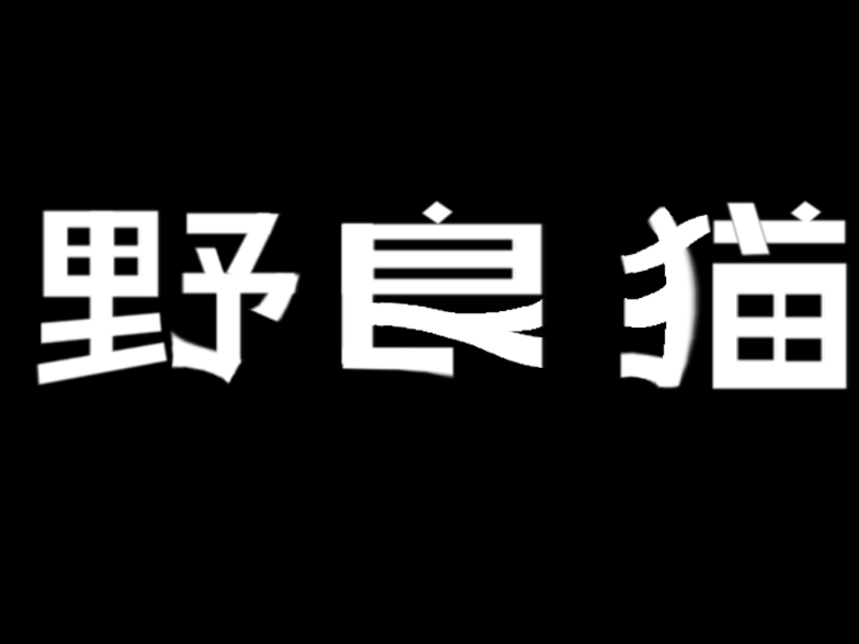 第2天_Jolie丛小姐-站酷ZCOOL