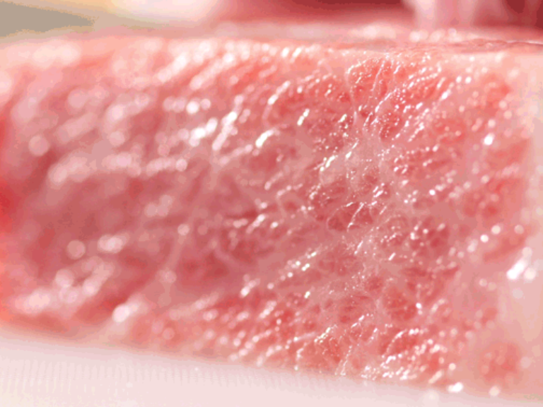 美食视频 | 元気寿司 X SANDING_三鼎之力影视部-站酷ZCOOL