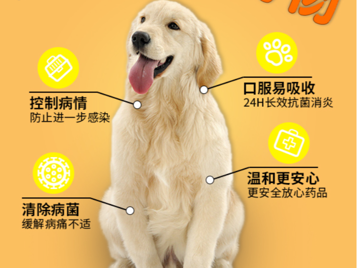 宠物_H012-站酷ZCOOL