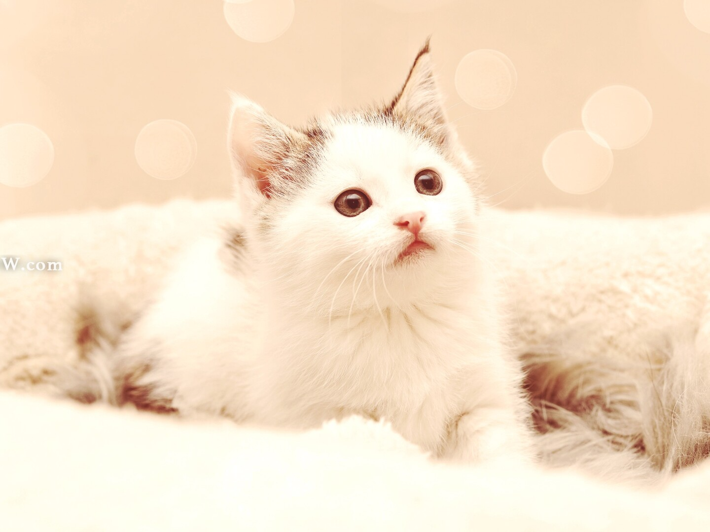 HDR调色ps动作_Mac小素材-站酷ZCOOL