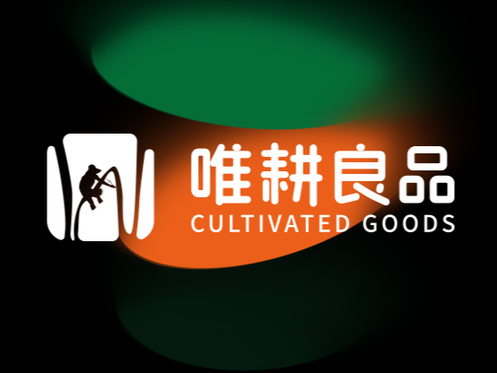 品牌设计_Anna_CH-站酷ZCOOL