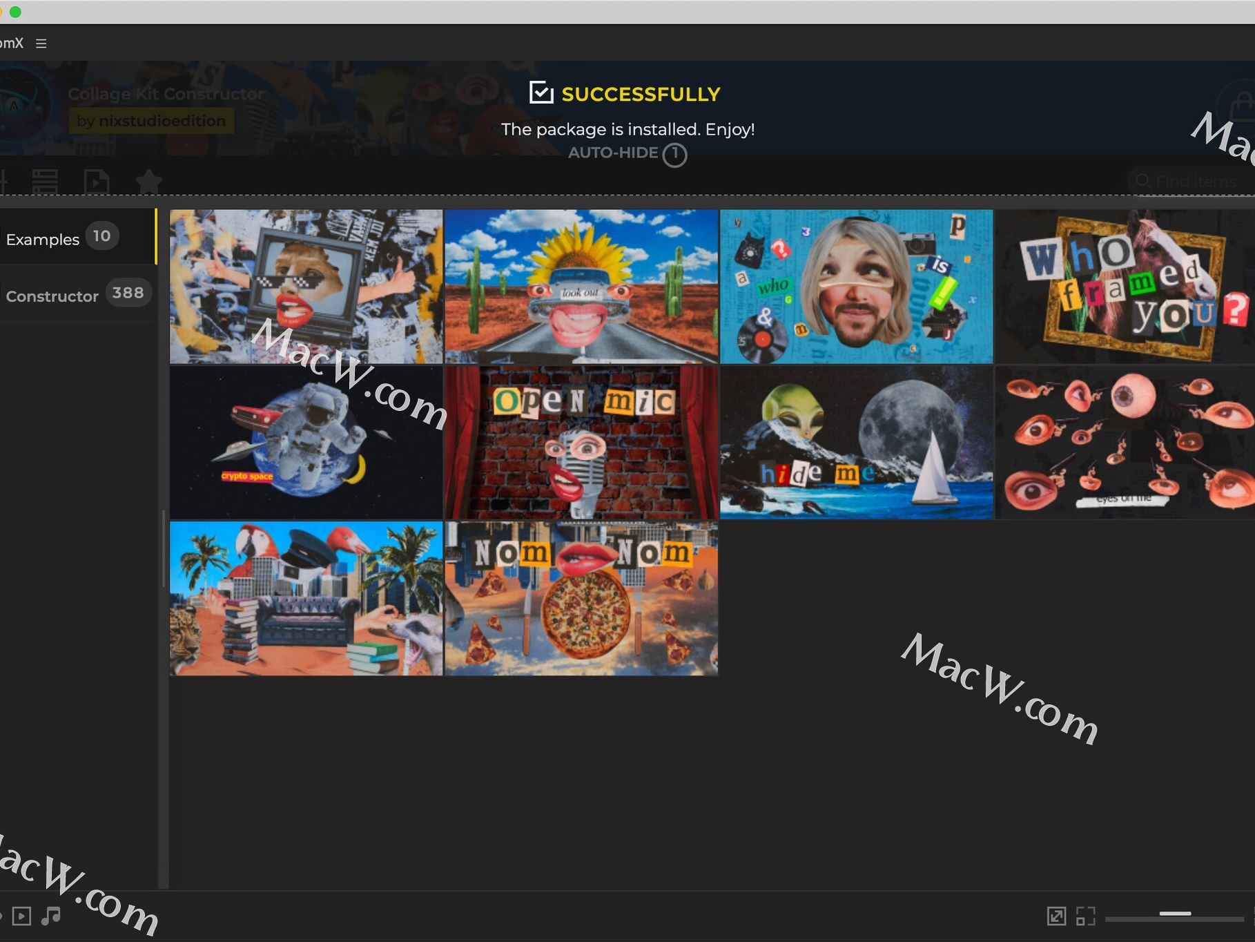 AE脚本-398种创意复古眼睛嘴巴头发手势动物汽车物品贴纸动画Collage Kit Constructor_酷酷帅帅-站酷ZCOOL