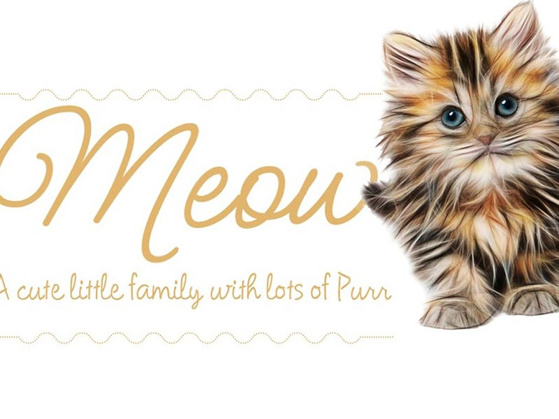 可爱手写字体 Meow ROB Script Family_平面设计小学妹-站酷ZCOOL