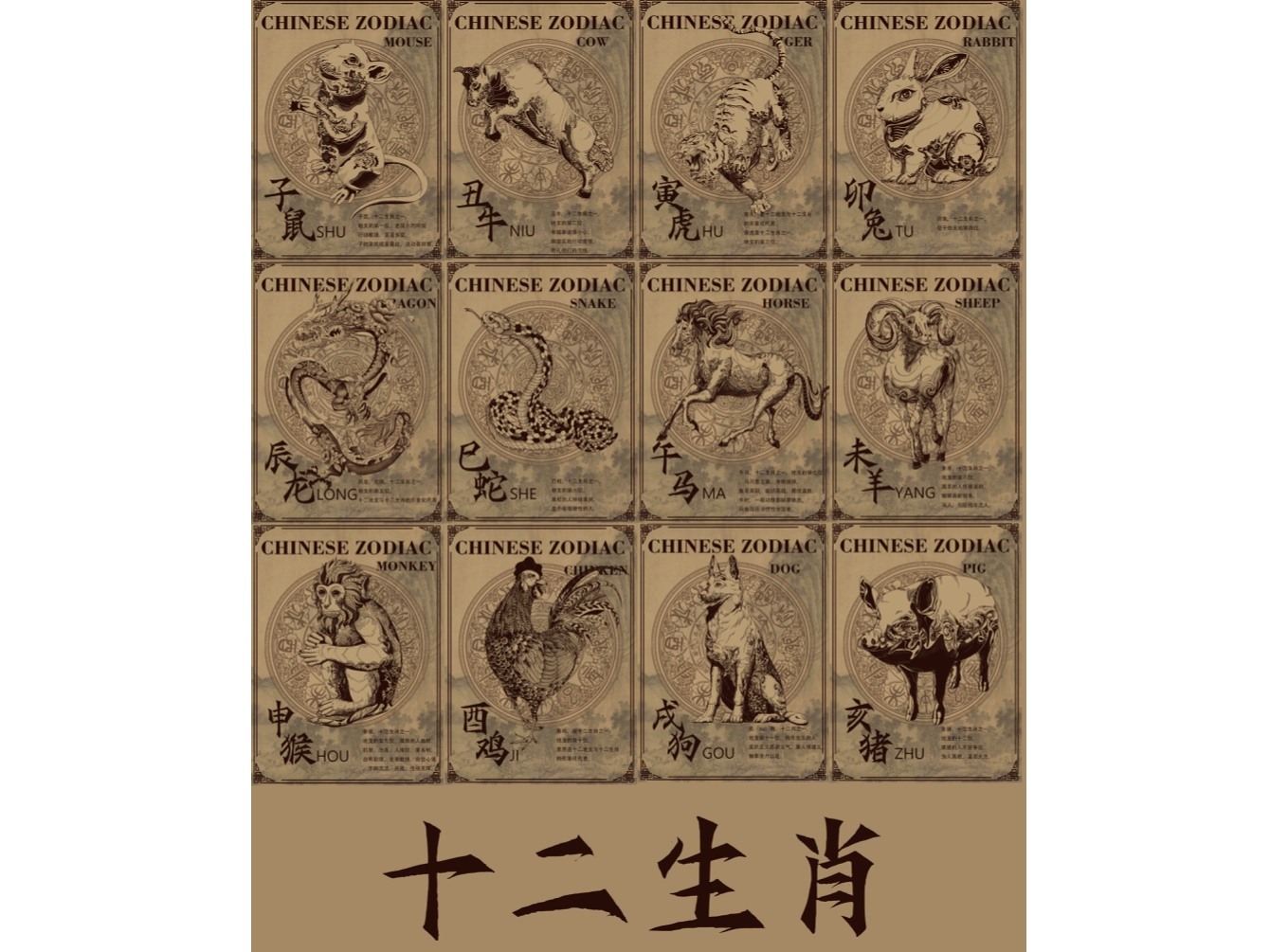 十二生肖合集_麦子min-站酷ZCOOL