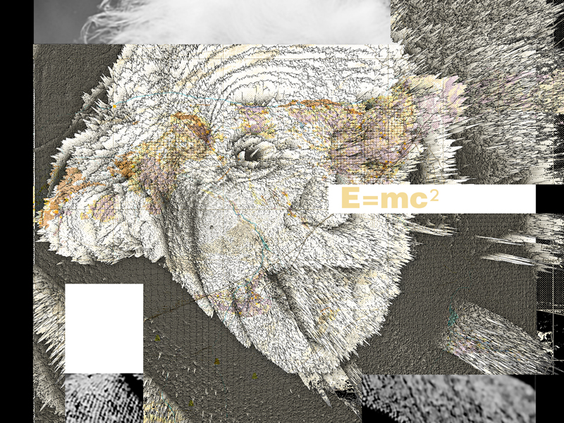 E=mc2_King_CW14-站酷ZCOOL