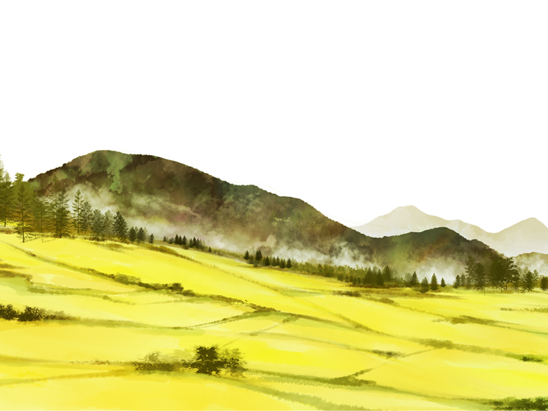 油菜花田_林中小蜗-站酷ZCOOL