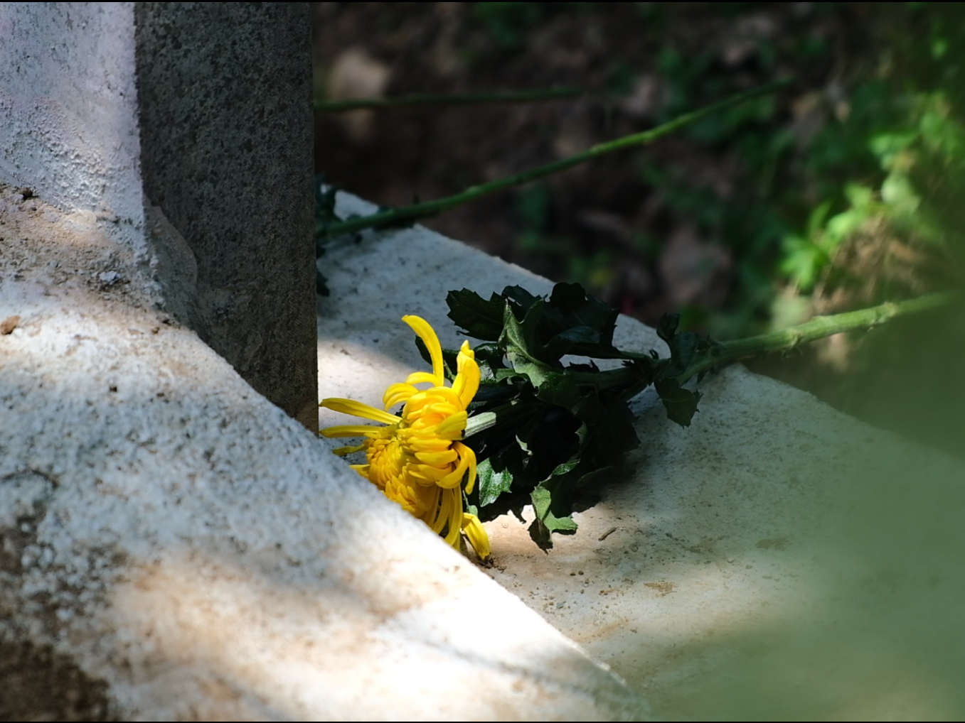 （自用）_Muweier-站酷ZCOOL