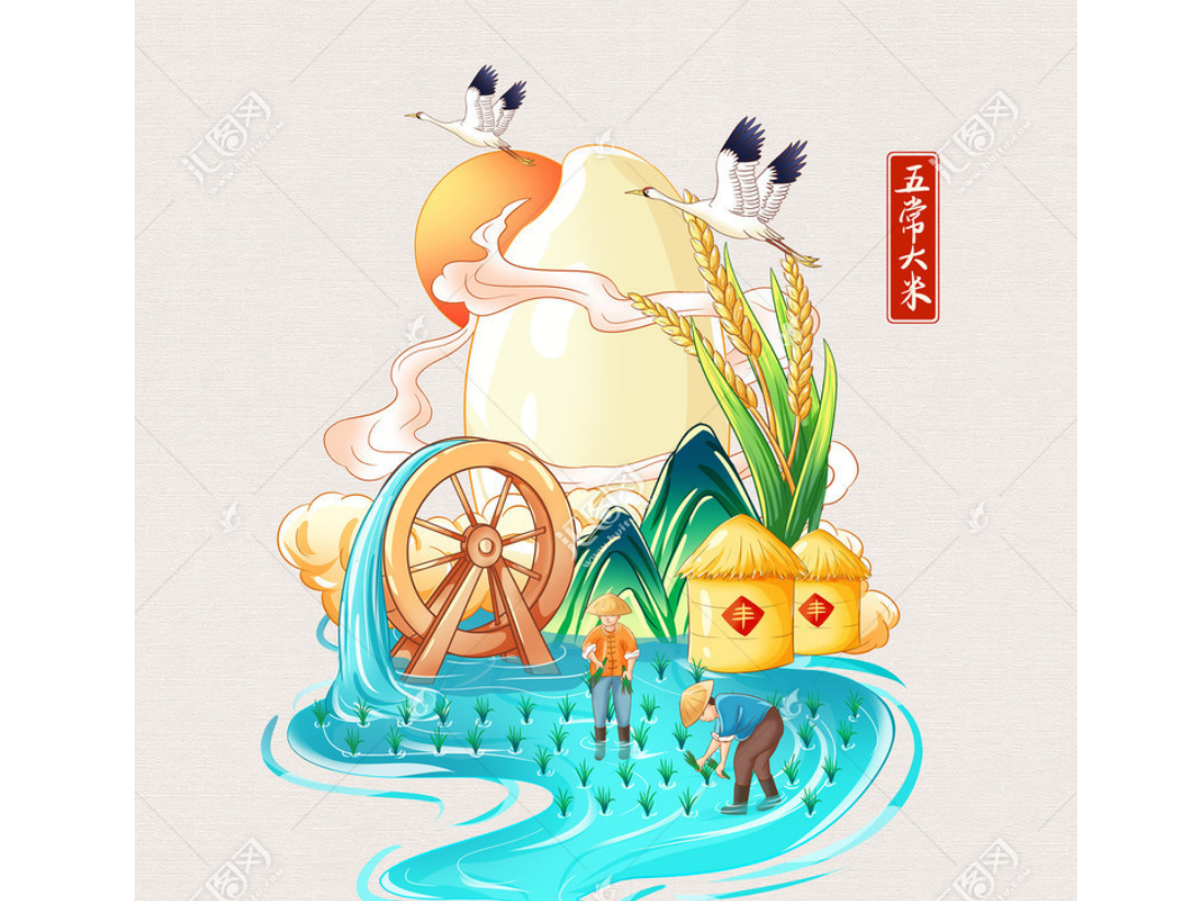 大米包装插画手绘设计_kwtzhb-站酷ZCOOL