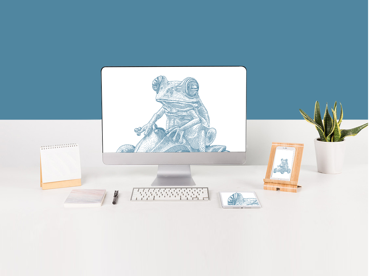 手绘_小蚂蚁设计-站酷ZCOOL