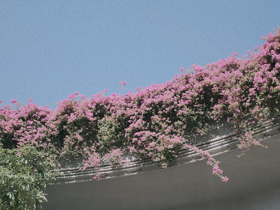 人文纪实摄影PLOG by GR2 in 22.10_三猫仙人-站酷ZCOOL