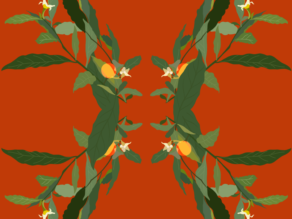 冬_四季_huiledyy-站酷ZCOOL