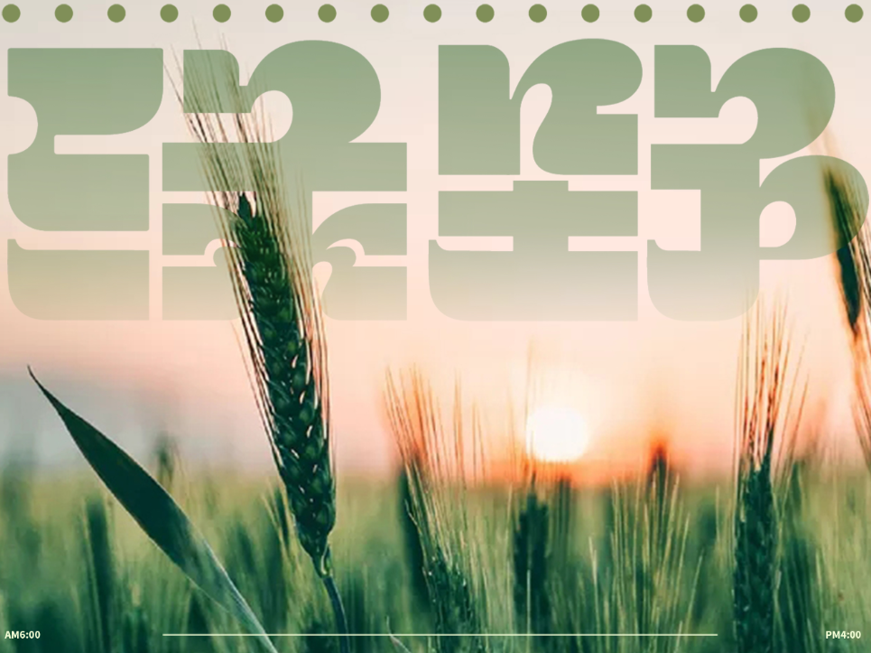 第一天【绿野】_沐梓_MUYI-站酷ZCOOL