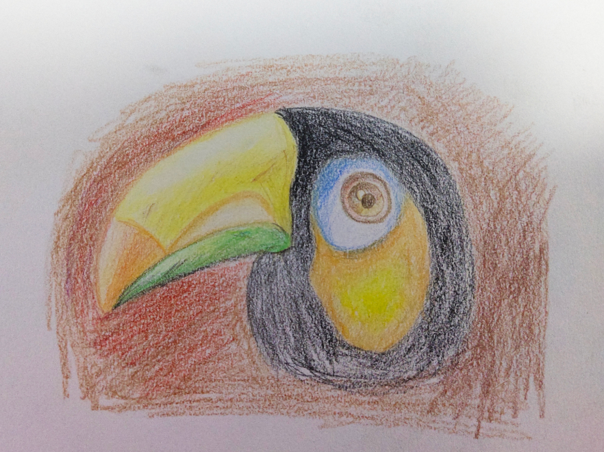 手绘打卡03_一只小黑焦-站酷ZCOOL