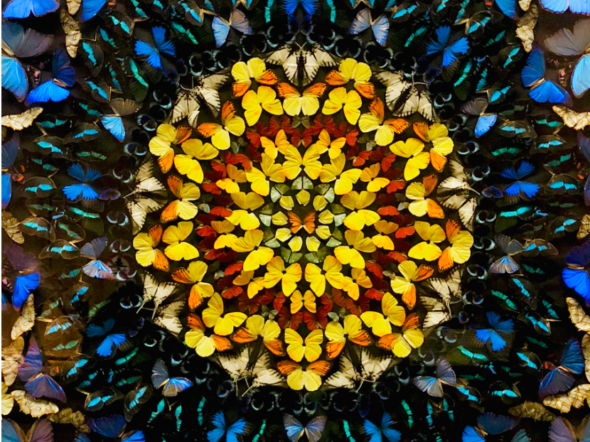 捕捉_Scen2047-站酷ZCOOL