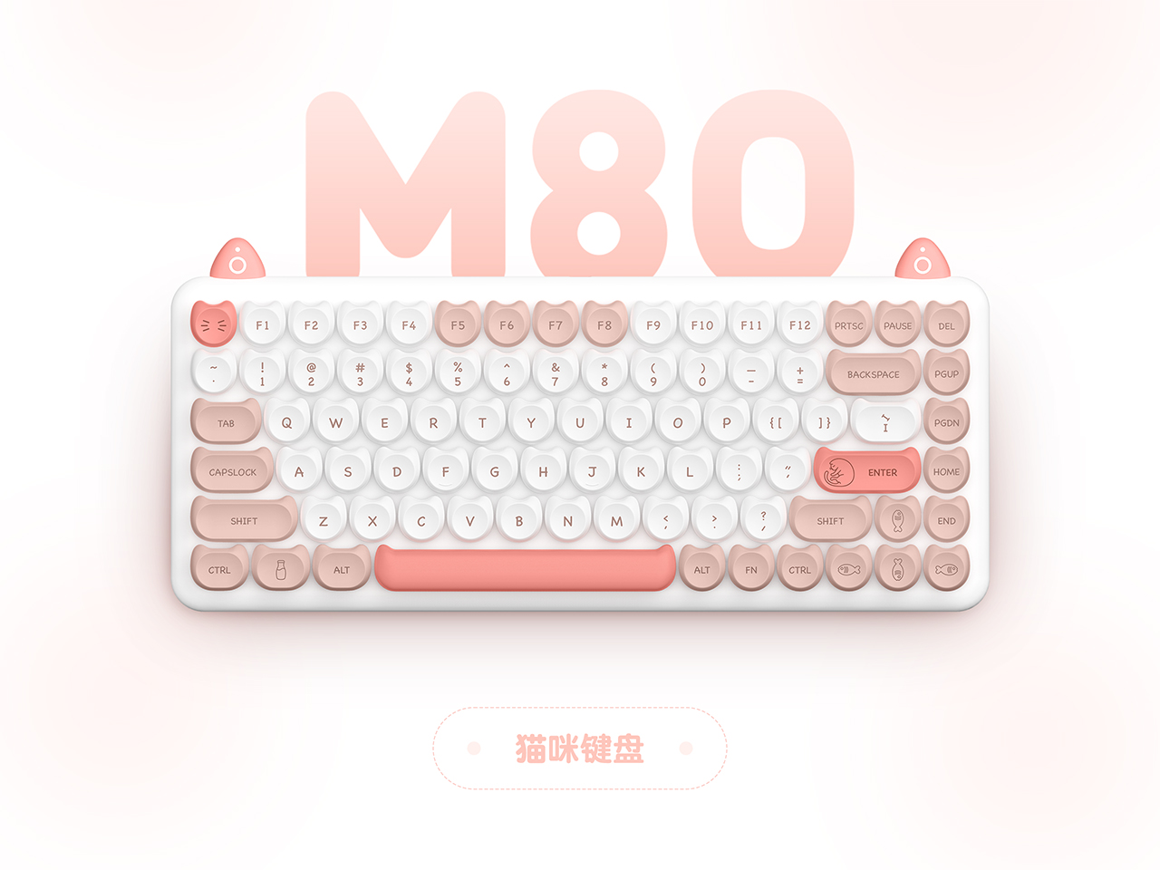 M80猫咪键盘·全套视觉方案_LINGULIAN-站酷ZCOOL