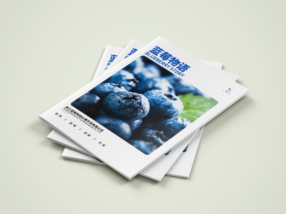 蓝莓画册_LIANG老梁-站酷ZCOOL