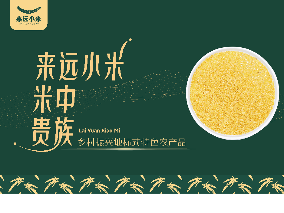 来远小米_赵小航-站酷ZCOOL