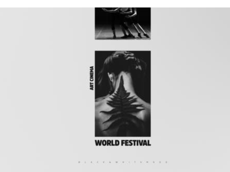 AE模板|竖屏创意高级艺术美术时尚黑白广告动画开场_猿文件网官方账号-站酷ZCOOL