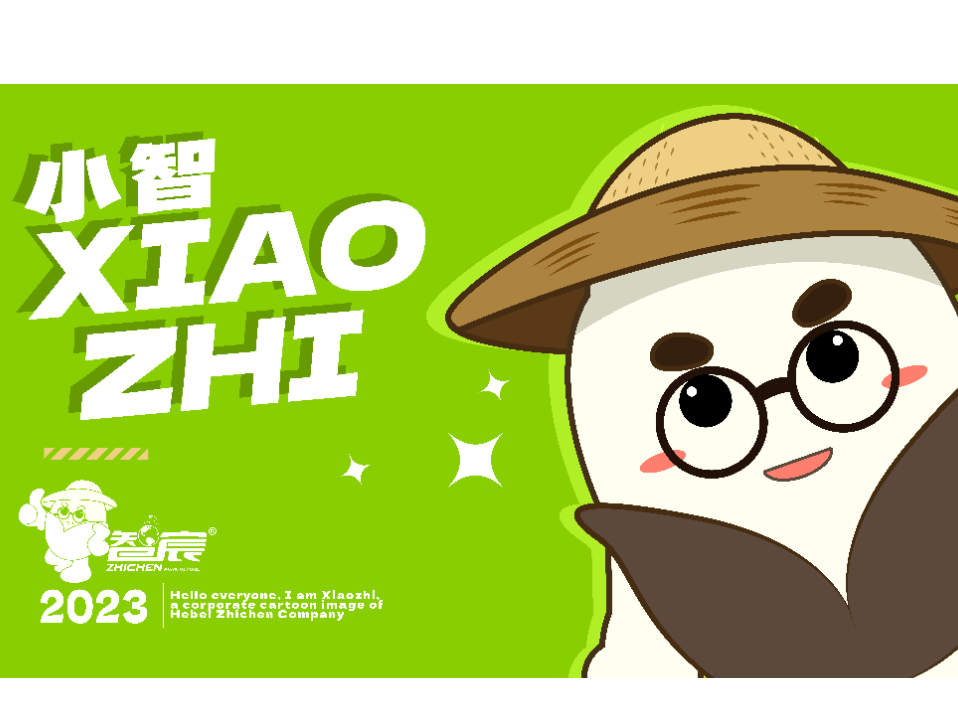 农业公司IP形象设计(小智)_老乌鸦嘎嘎-站酷ZCOOL